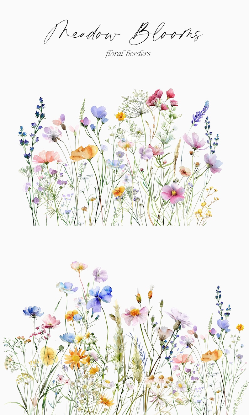 Watercolor Wildflower Borders Clipart, Meadow Blooms (digital Download ...