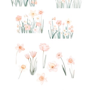 Watercolor Spring Flower Borders Clipart, Tulips, Daffodils (digital ...