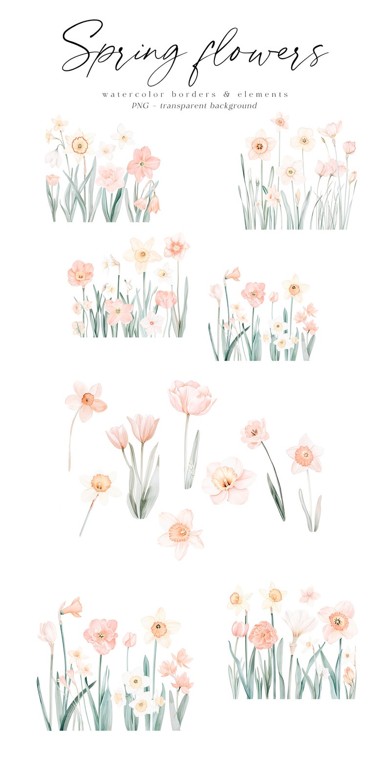Watercolor Spring Flower Borders Clipart, Tulips, Daffodils (digital ...