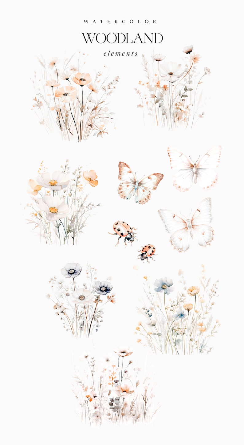 Watercolor Woodland Clipart, Forest Animals, Flowers, Landscape (PNG ...