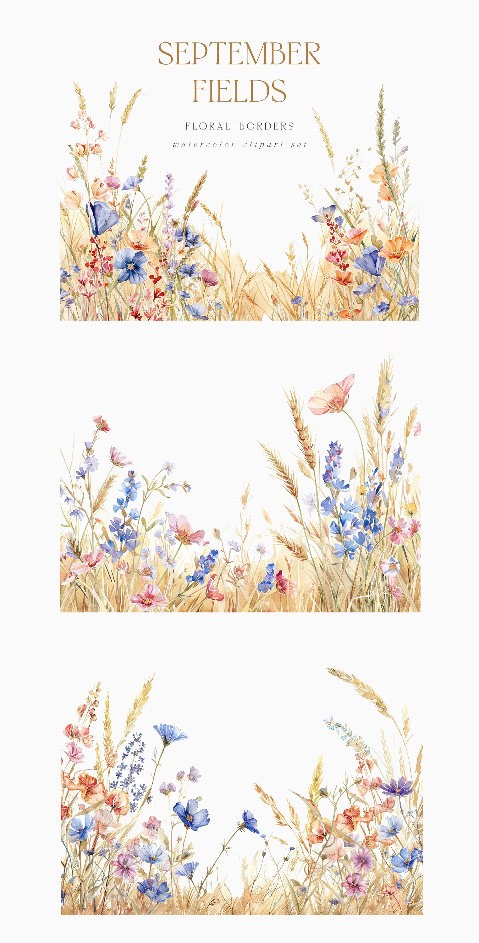 Watercolor Wheat Field Clipart, Autumn Floral Borders (PNG) - Etsy