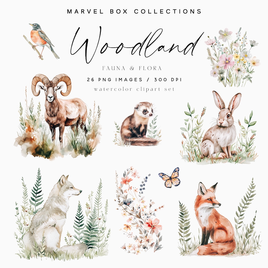 Watercolor Woodland Clipart Set, Forest Animals, Wildflowers (PNG Files ...