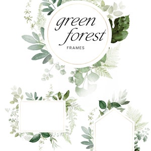 Greenery Foliage Clipart - Greenery Clipart - Eucalyptus Clipart ...