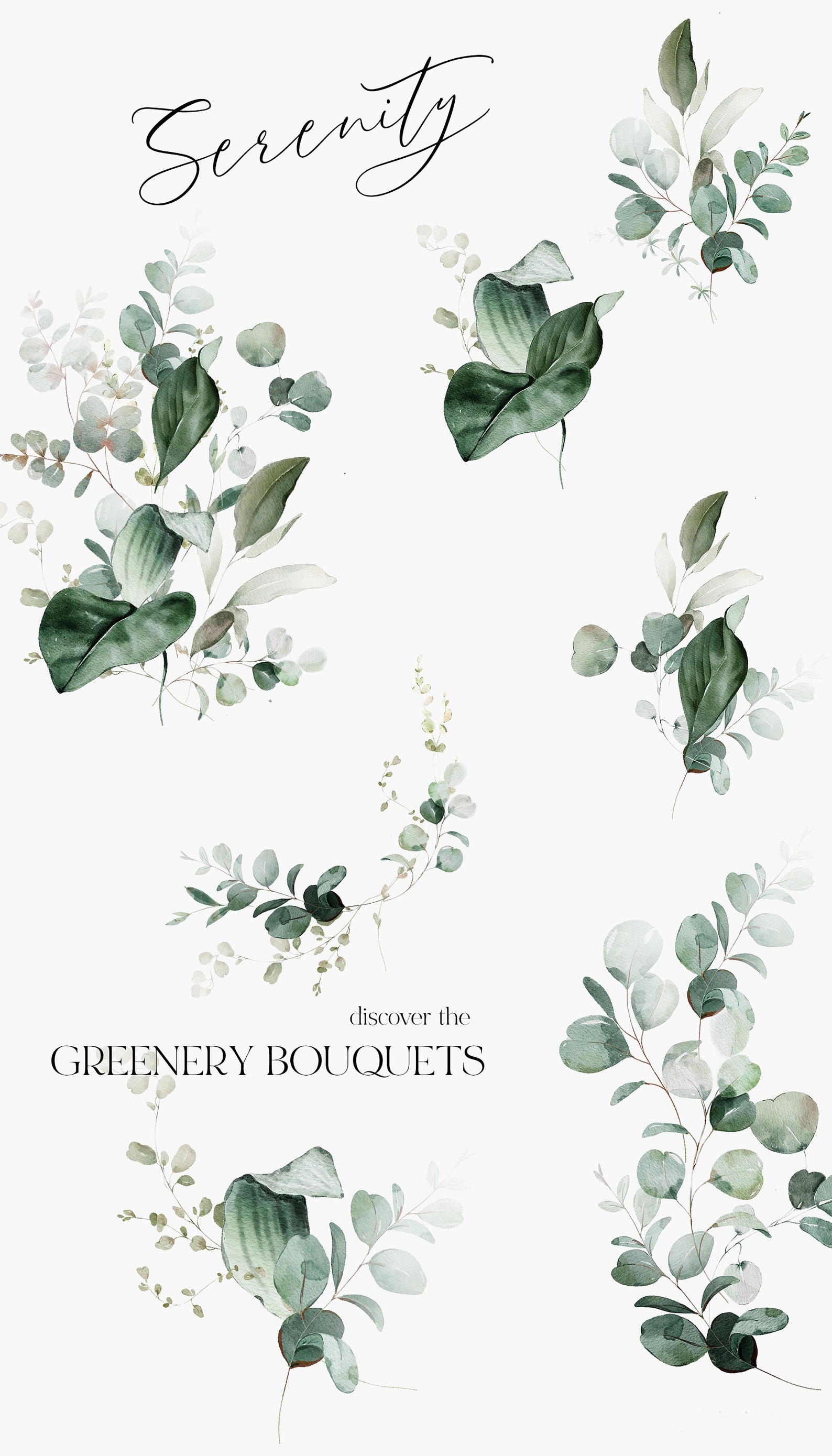 Watercolor Greenery Clipart Greenery Clipart Eucalyptus - Etsy