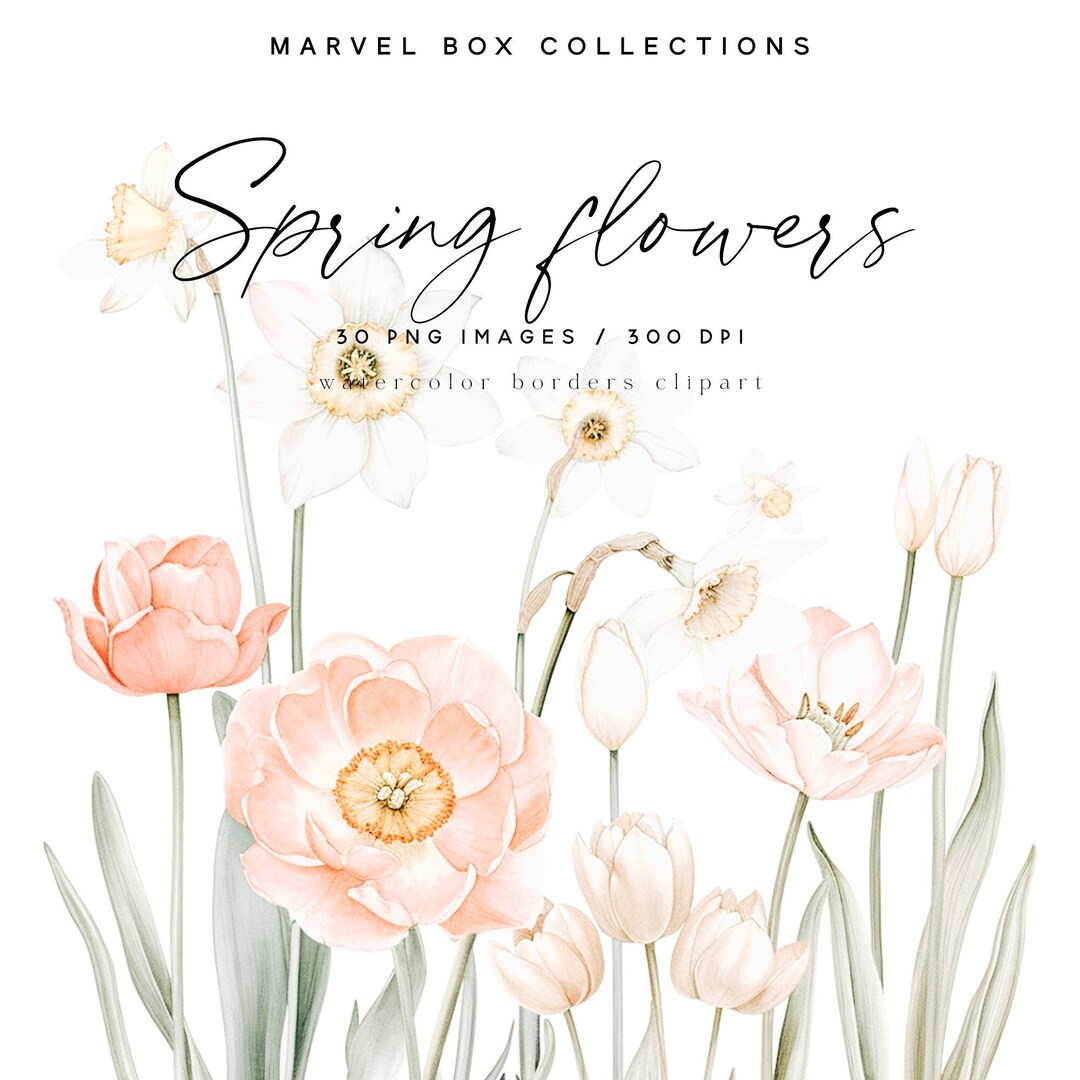 Watercolor Floral Borders Clipart, Spring Flowers Borders, Tulips and ...