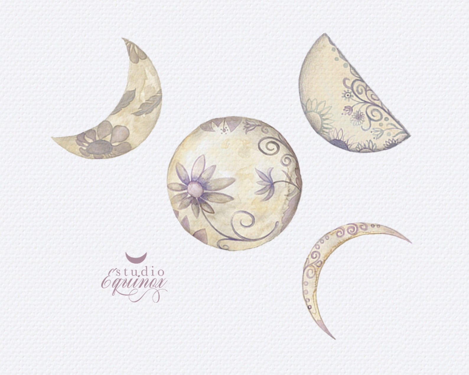 Watercolor Moon Phases Clipart, Floral Moon Art (PNG) - Etsy