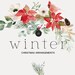 Winter Watercolor Bouquets - Christmas Flowers - Pine Clipart ...