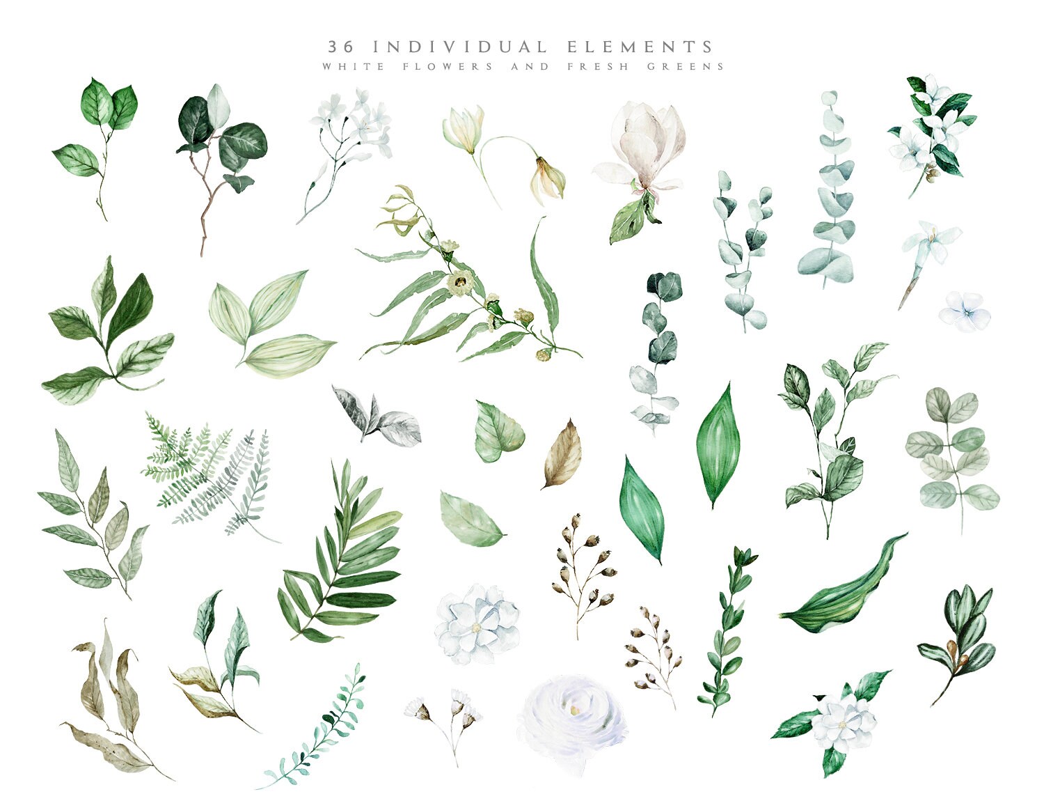 Watercolor Greenery Set, Floral Alphabet, Wreaths (PNG) - Etsy