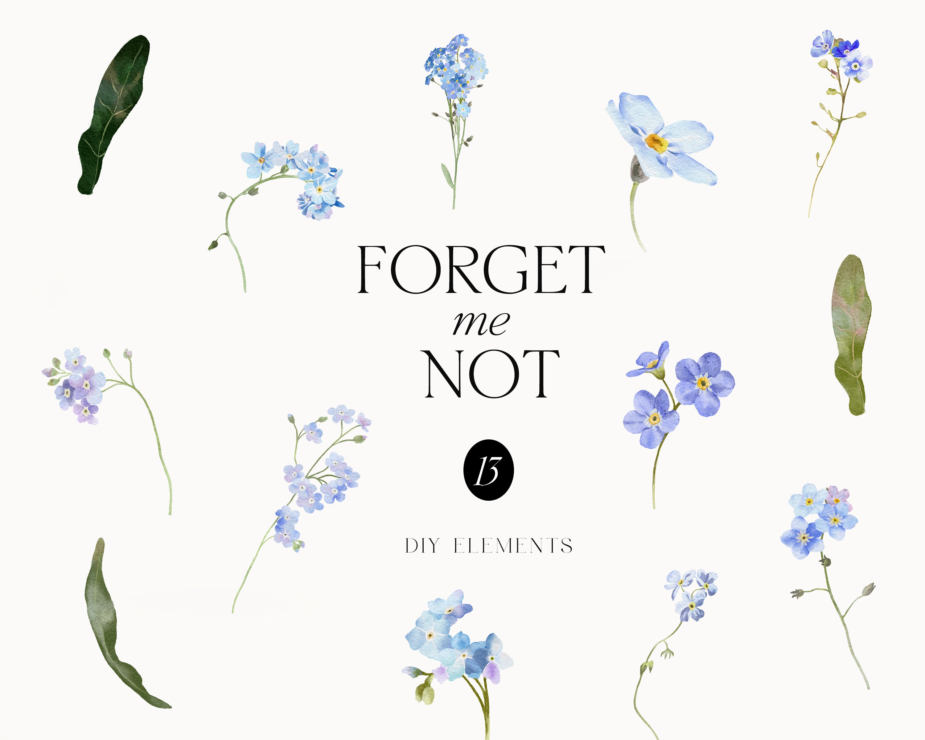 Forget Me Not Clipart Watercolor Clipart Watercolor Spring - Etsy UK