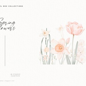 Watercolor Spring Flower Borders Clipart, Tulips, Daffodils (digital ...