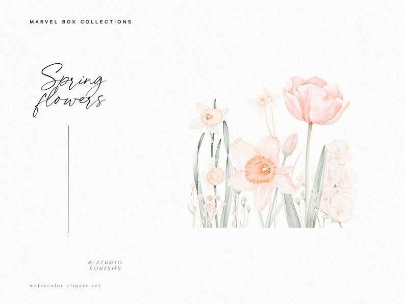 Watercolor Spring Flower Borders Clipart, Tulips, Daffodils (digital ...