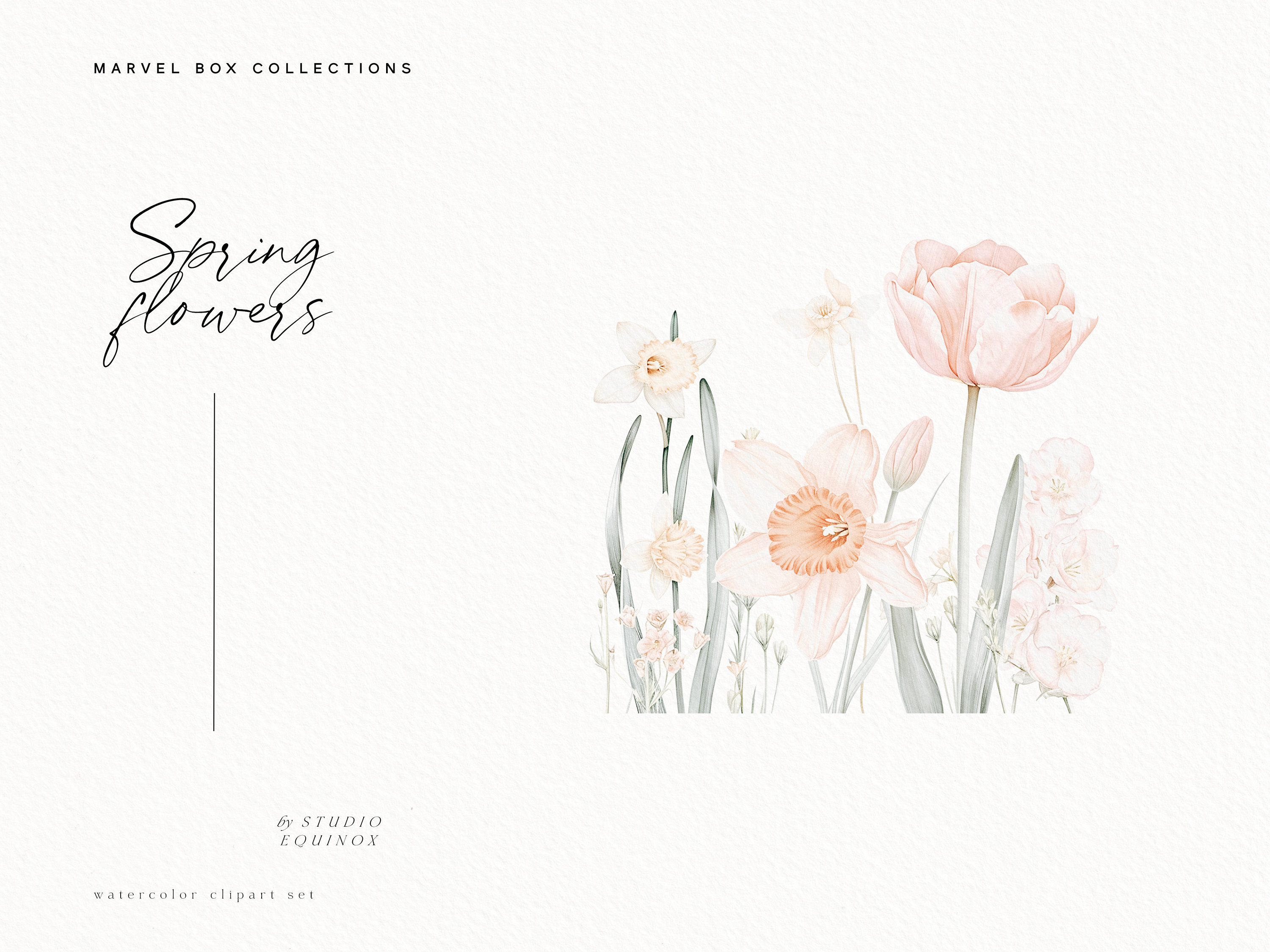 Watercolor Spring Flower Borders Clipart, Tulips, Daffodils (digital ...