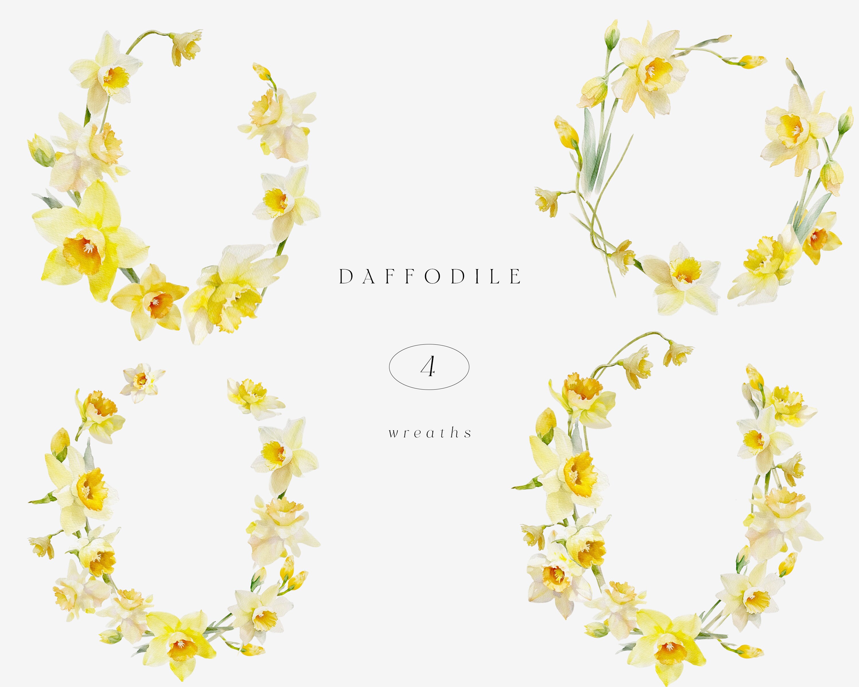 Daffodil Watercolor Clipart Set, Floral Bouquets, Wreath, Frame (PNG ...