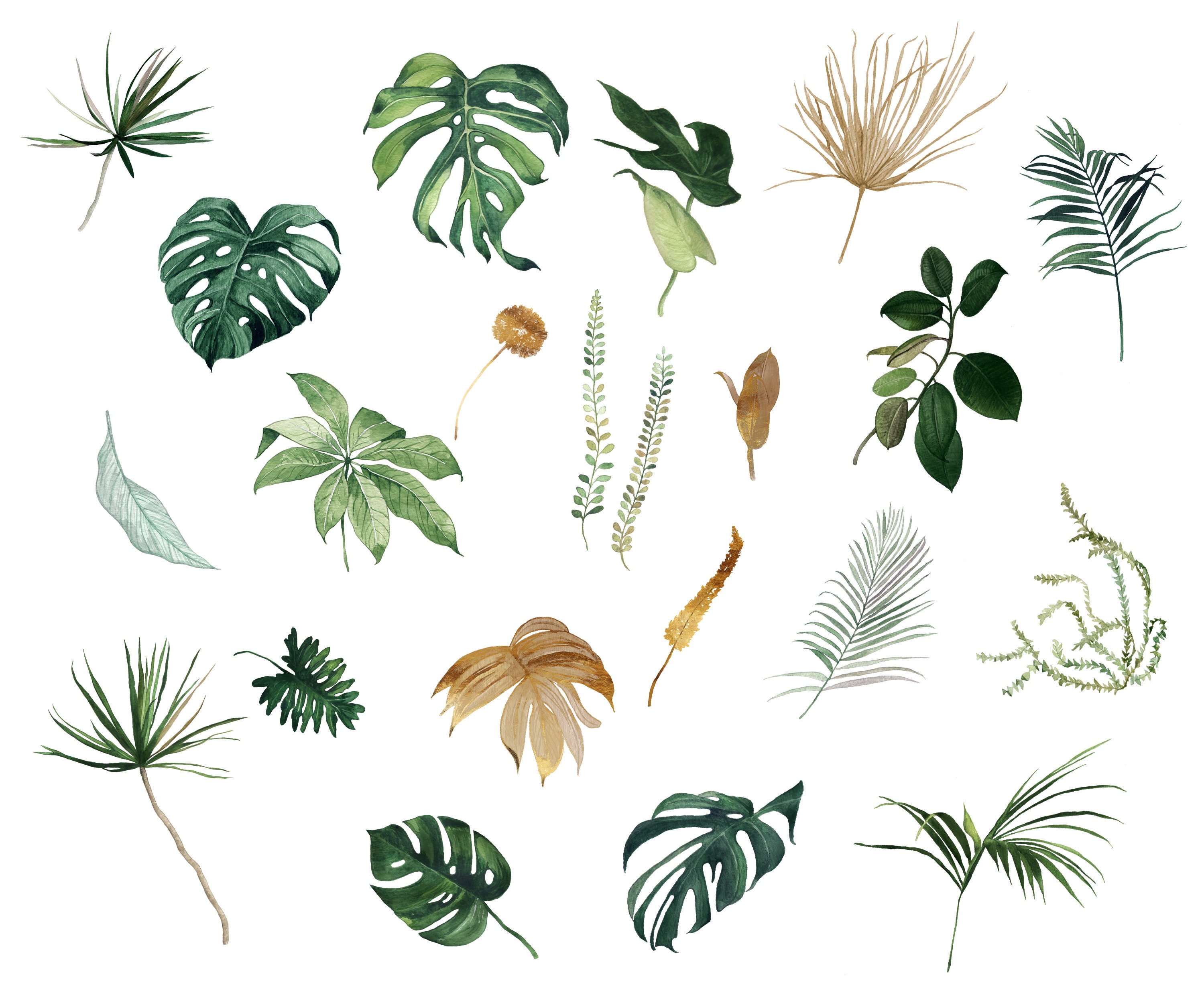 Watercolor Tropical Clipart, Greenery Leaves, Bouquets, Frames (PNG) - Etsy