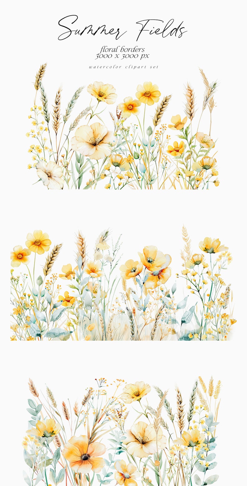 Watercolor Wildflower Clipart, Summer Floral Borders (PNG) - Etsy