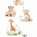 Safari Baby Animals, Watercolor Clipart, Baby Shower, Lion, Tiger ...