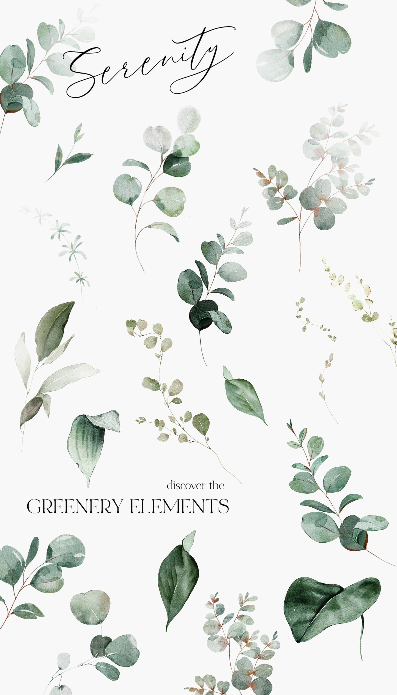 Watercolor Greenery Clipart Greenery Clipart Eucalyptus - Etsy