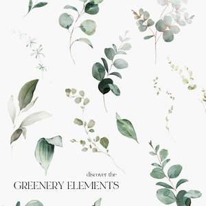 Watercolor Greenery Clipart - Greenery Clipart - Eucalyptus Clipart ...