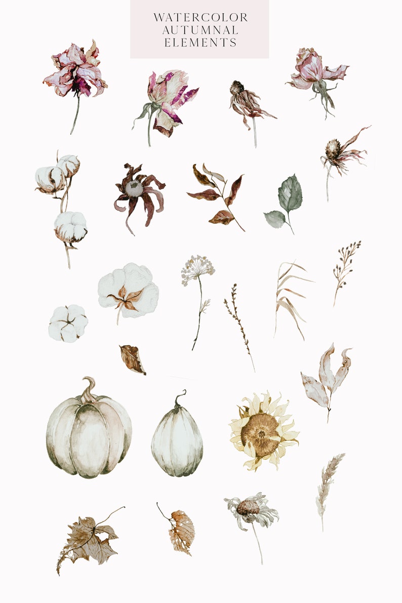 Autumn Watercolor Floral Clipart, Fall Elements (PNG) - Etsy