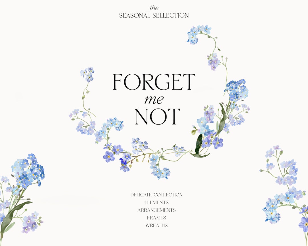 Forget Me Not Clipart - Watercolor Forgetmenot - Watercolor Spring ...