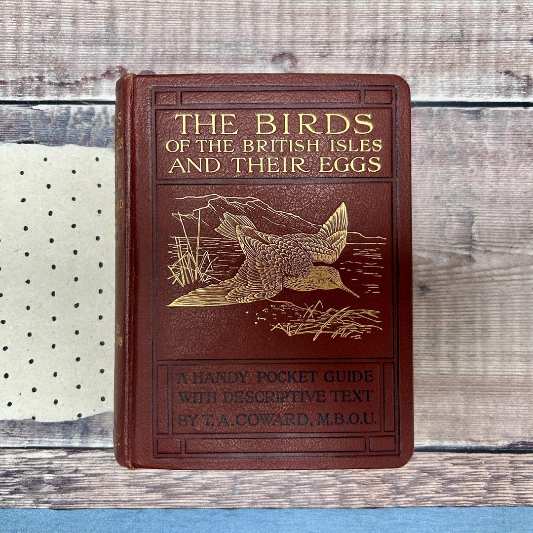Antique 1923 Birds of the British Isles - T.A. Coward | Wayside ...