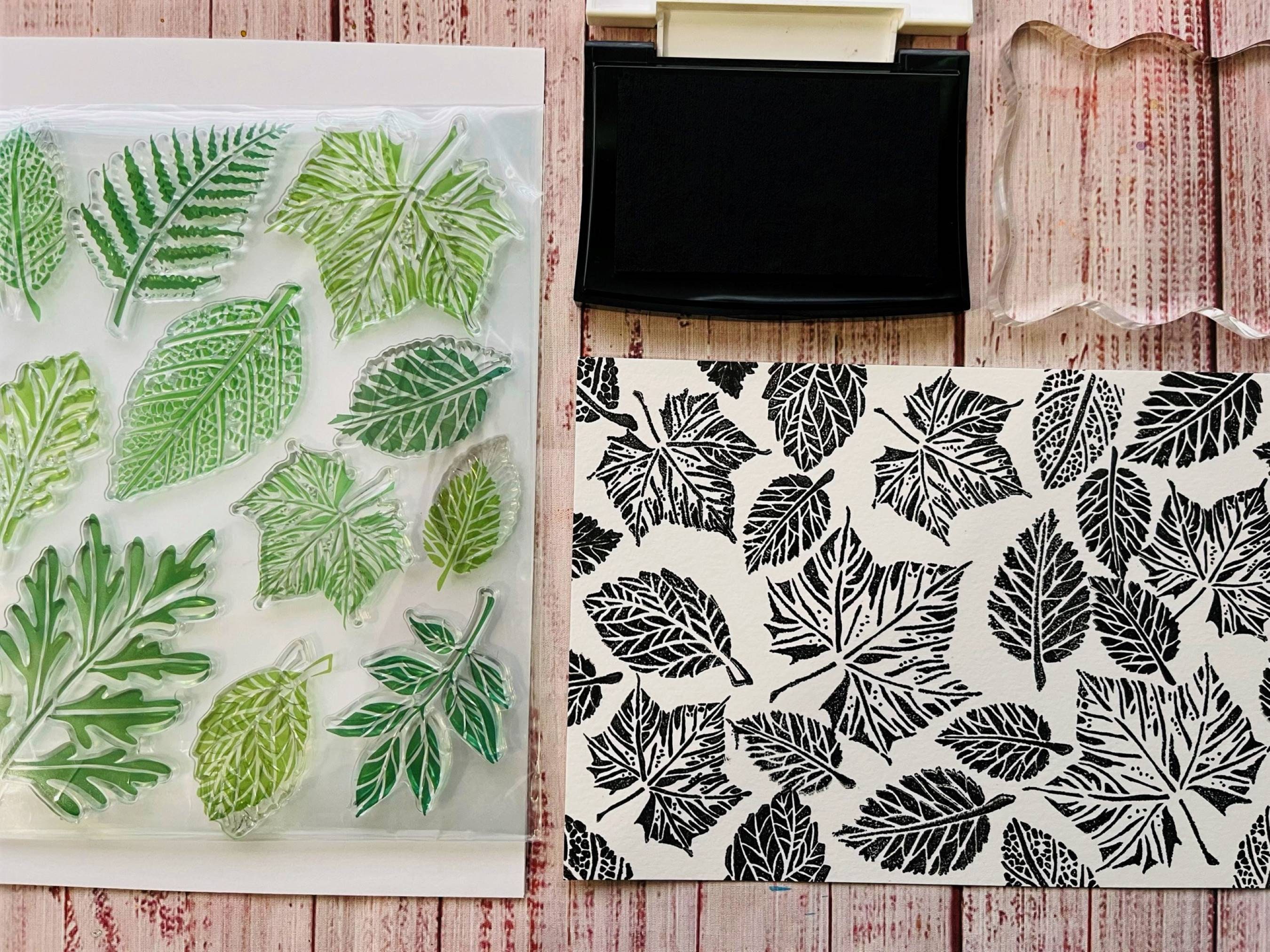Leaf Stamp Set Leaves Stamps Clear Stamp Set Leaf Shape - Etsy Australia