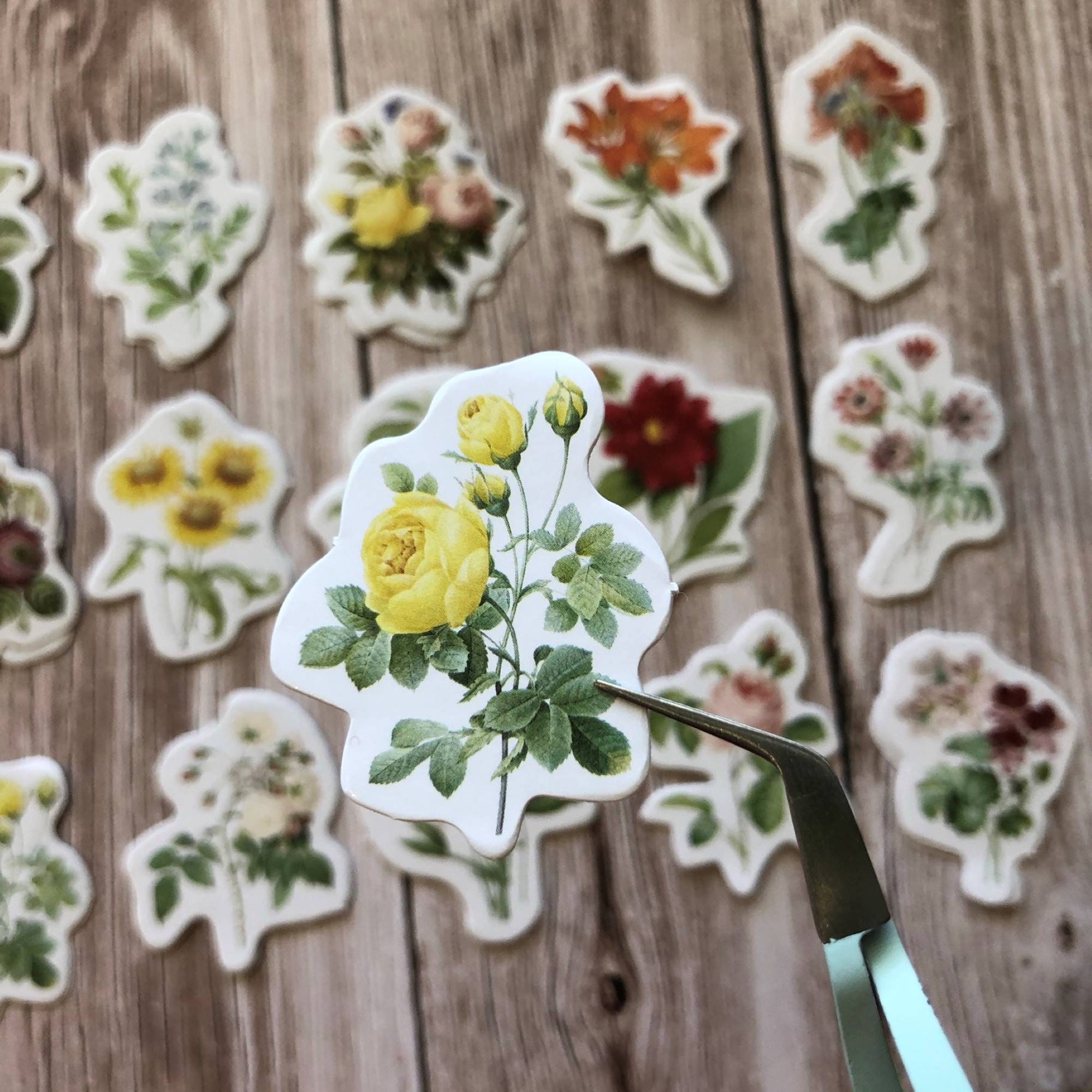 Vintage Flower Sticker Pack Set of Beautiful Flower Stickers | Etsy