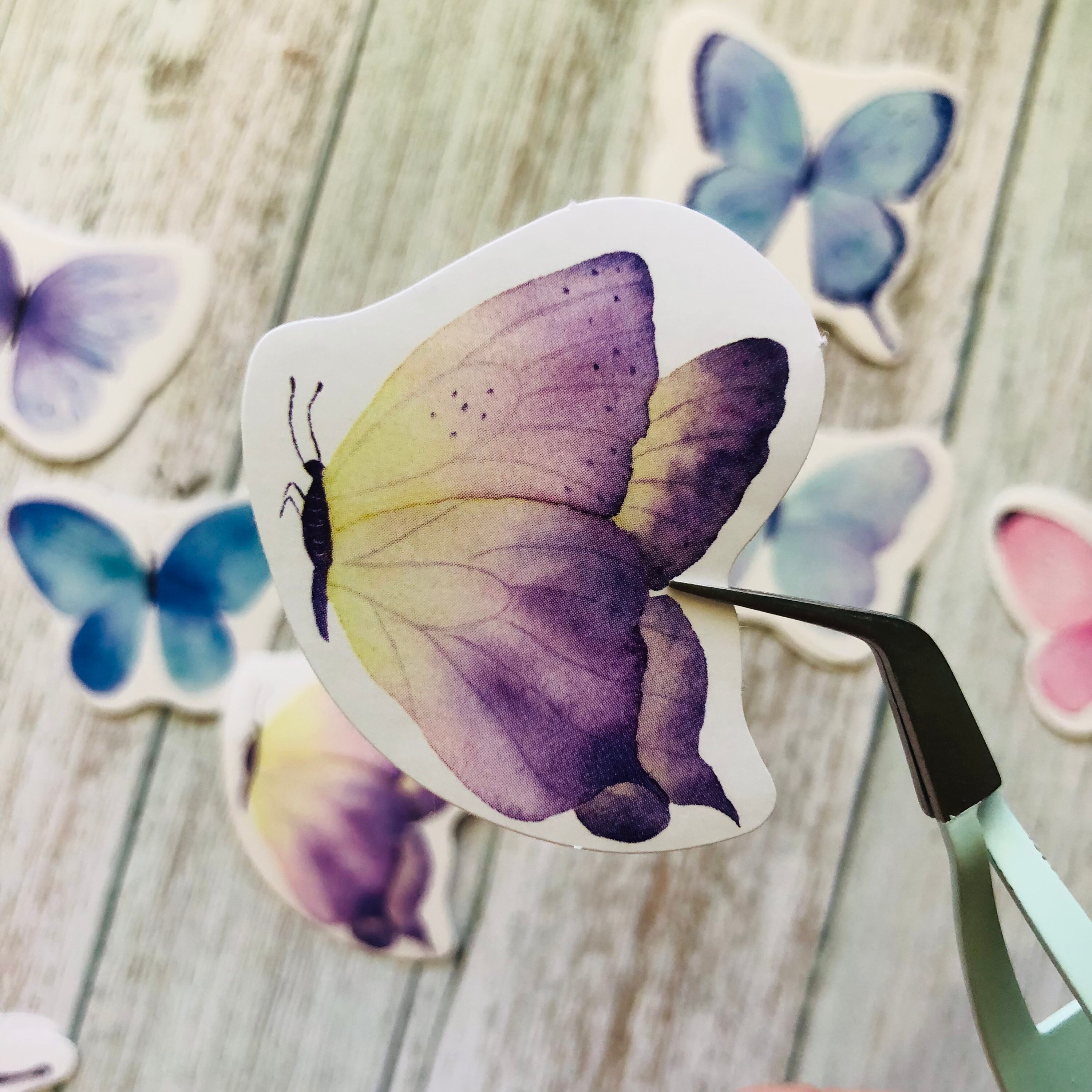 Butterfly Sticker Pack Butterfly Stickers Sticker Set | Etsy