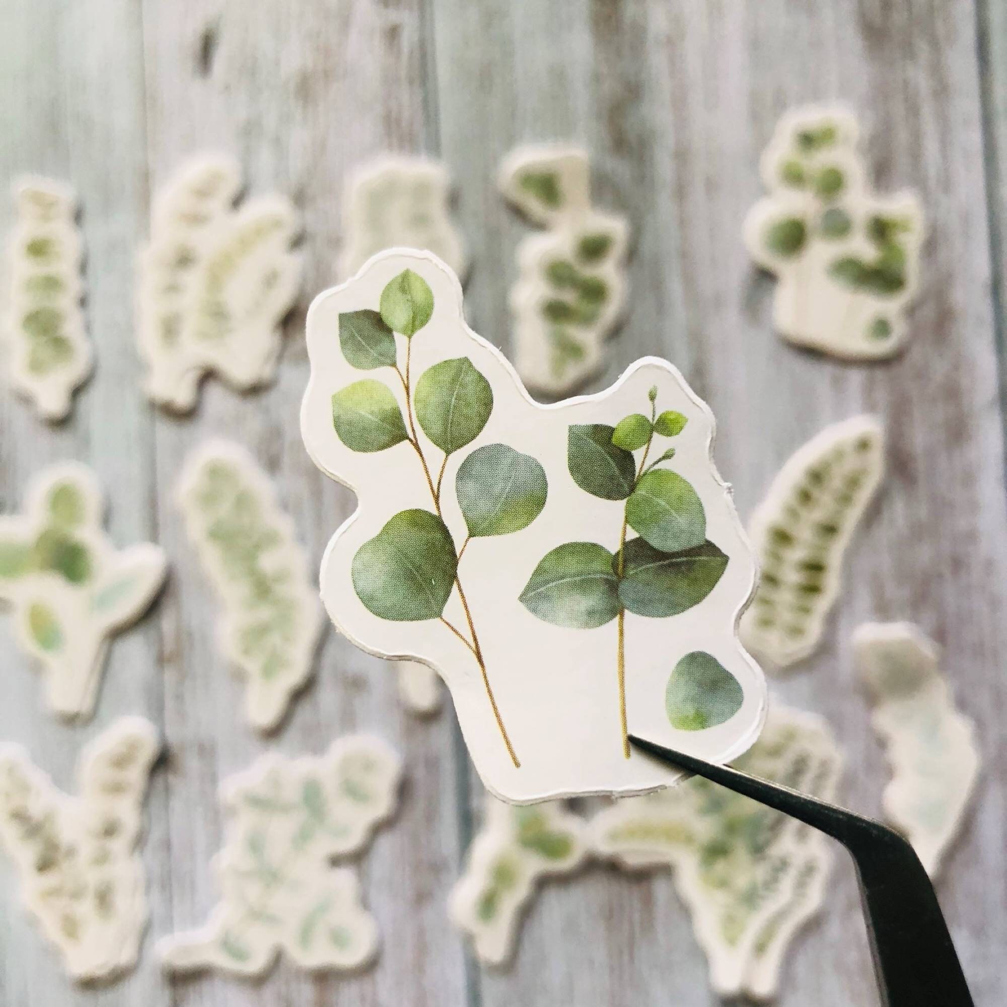 Eucalyptus Leaves Sticker Pack Green Leaves Planner | Etsy