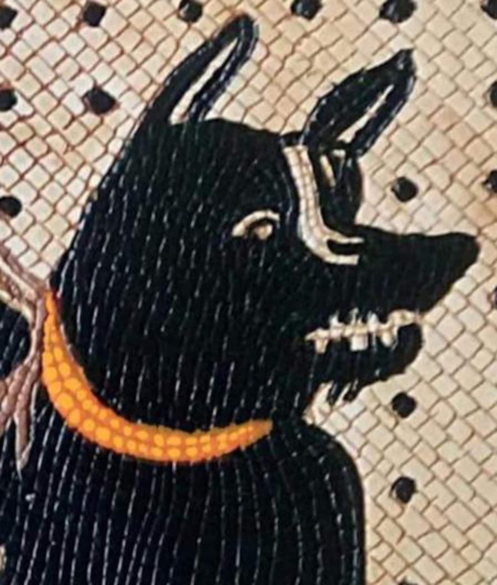 Dog Roman Mosaic Pompeii - Etsy