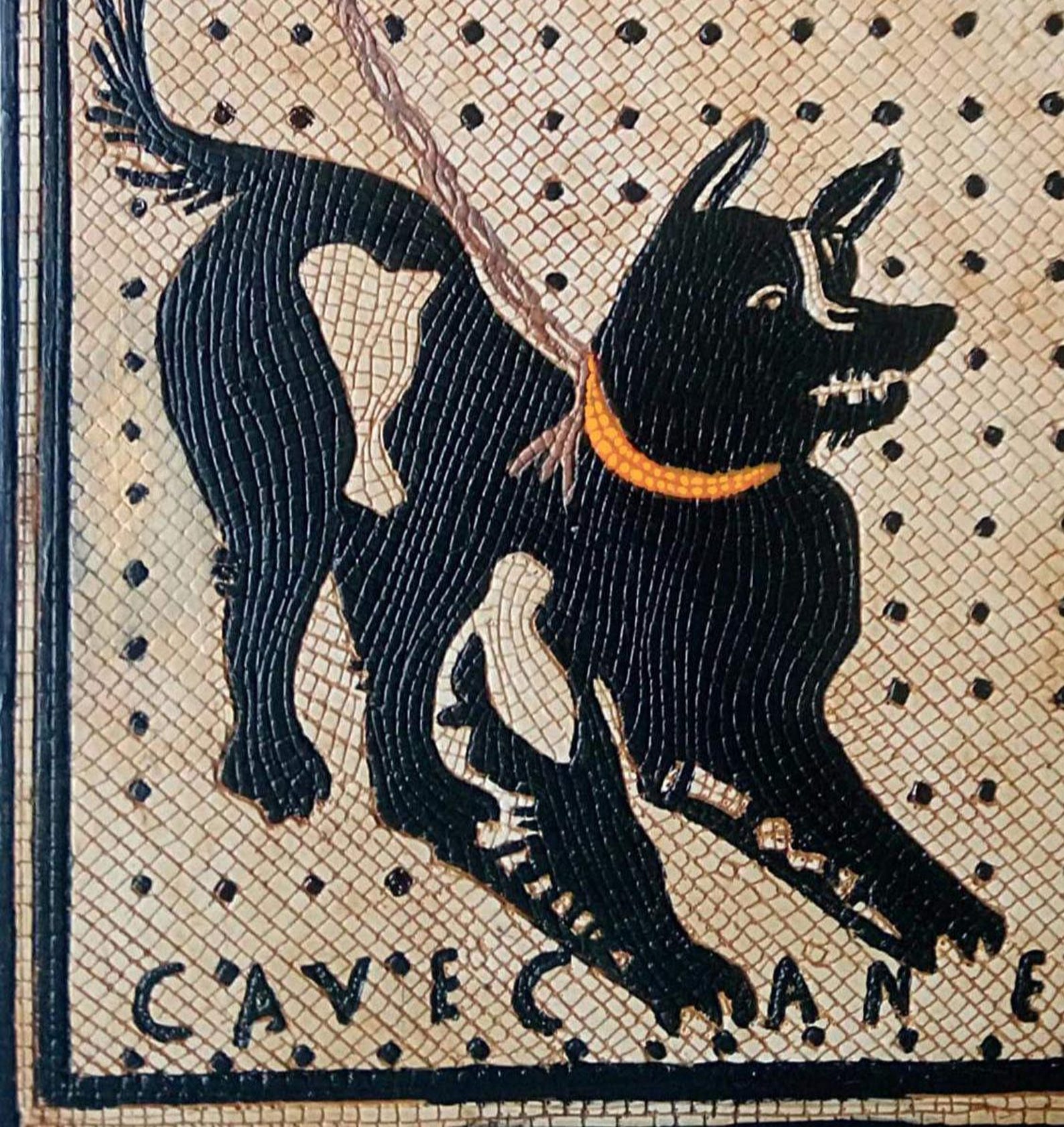 Dog Roman Mosaic Pompeii - Etsy