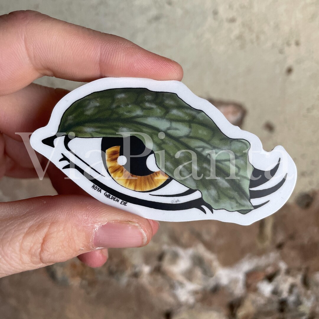 Hoya golden Eye Sticker - Etsy