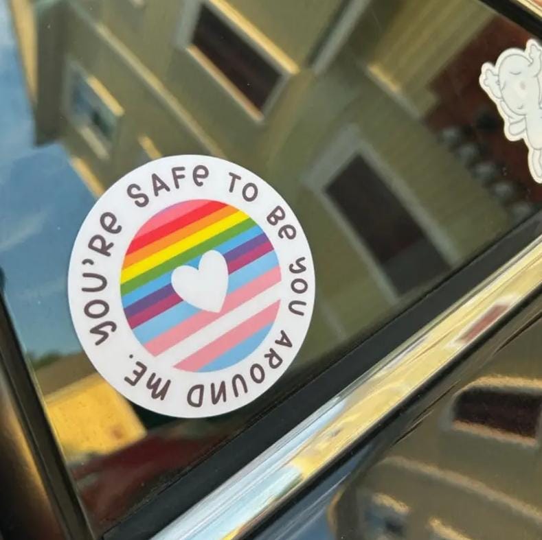 Safe Space Pride Flag Trans Flag Circle Round Heart Sticker - Etsy
