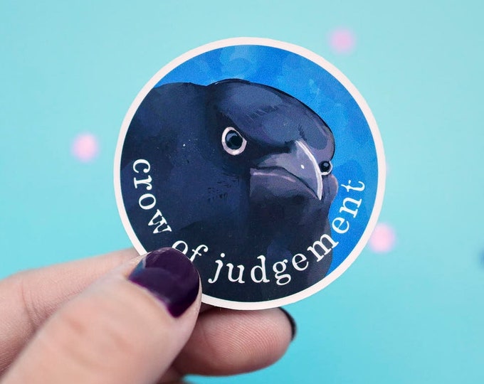 Crow of Judgement, Funny Meme, Cute Crow, Black Bird, Judgey Birb, Cute ...