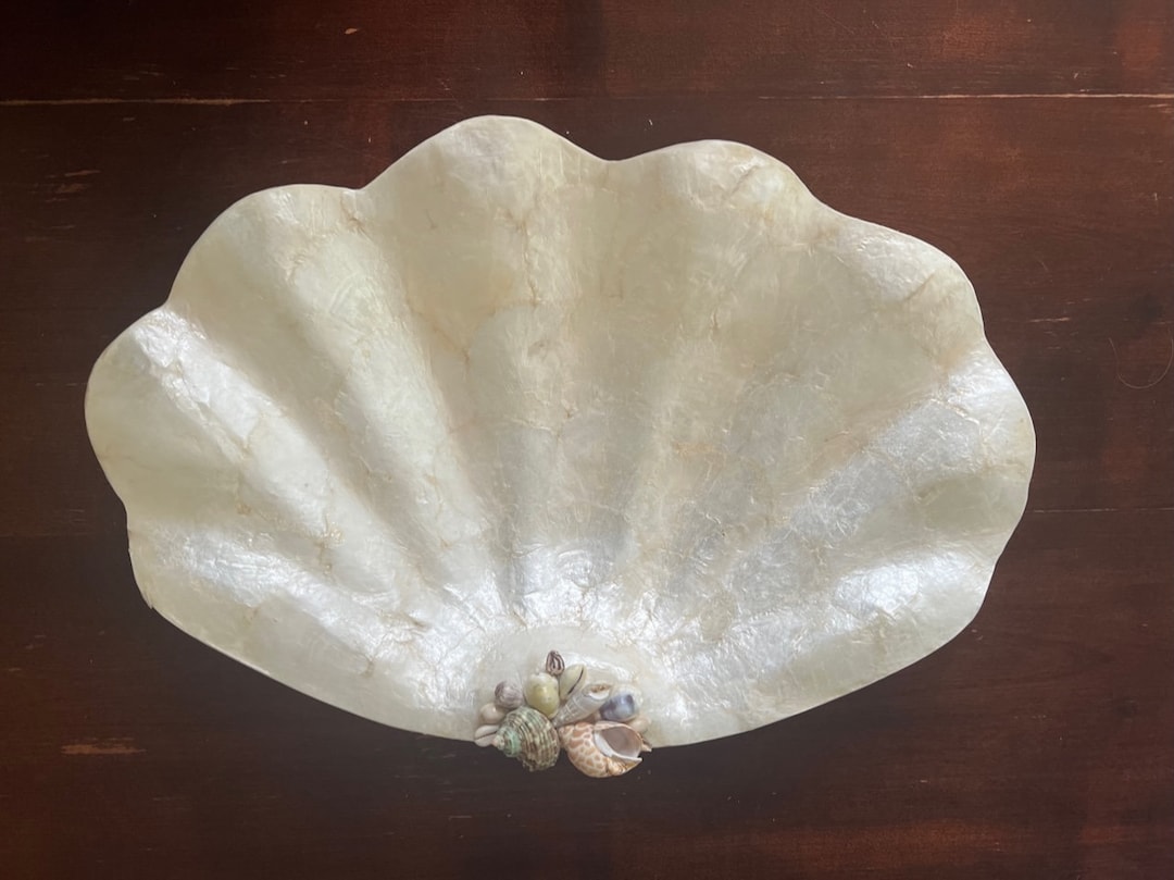 Capiz Mother of Pearl Clam Shell-shaped Tray With South Pacific Shell ...