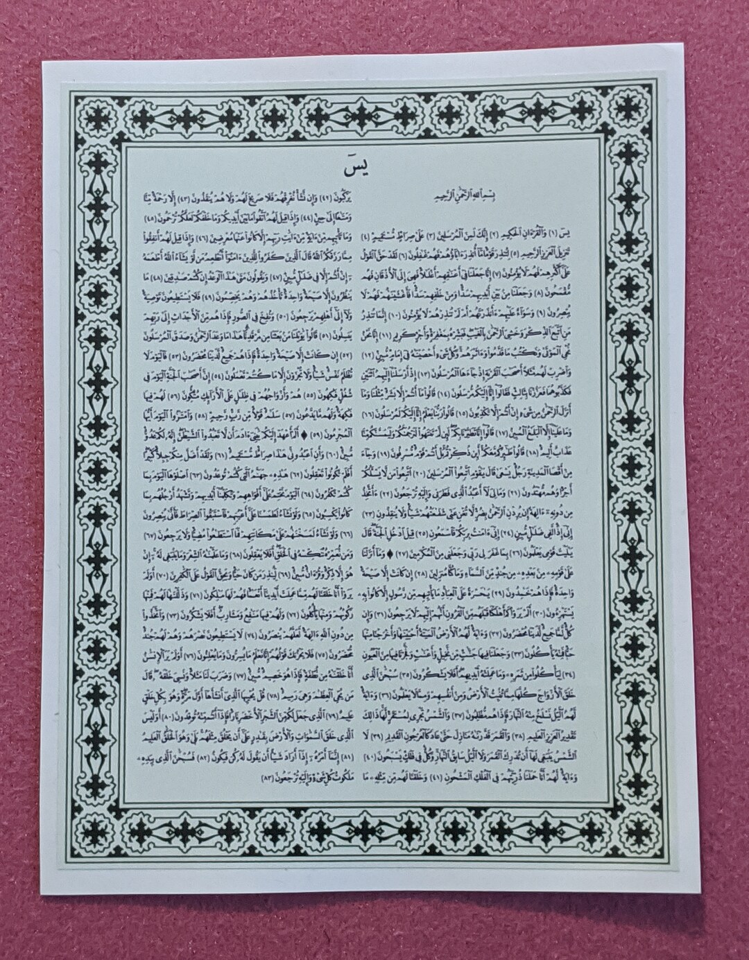Surah Yasin Yaseen سورۃ یس Islamic Premier Gloss 14 Cm X 11 Cm Mint ...