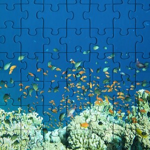 Tropical Coral Reef Wooden Jigsaw Puzzle for Adults - 200, 300, 500 ...