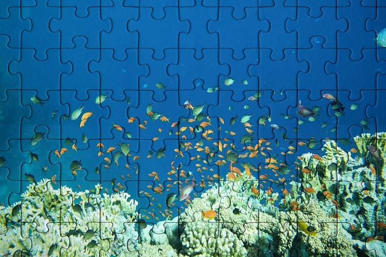 Tropical Coral Reef Wooden Jigsaw Puzzle for Adults - 200, 300, 500 ...