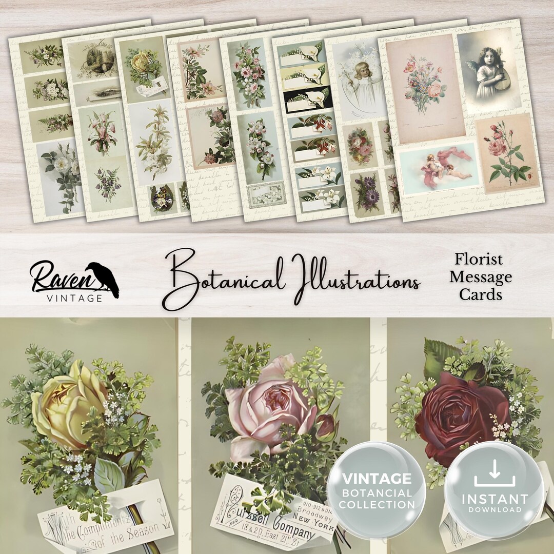 Botanical Illustrations - Vintage Florist Message Cards With Bonus ...