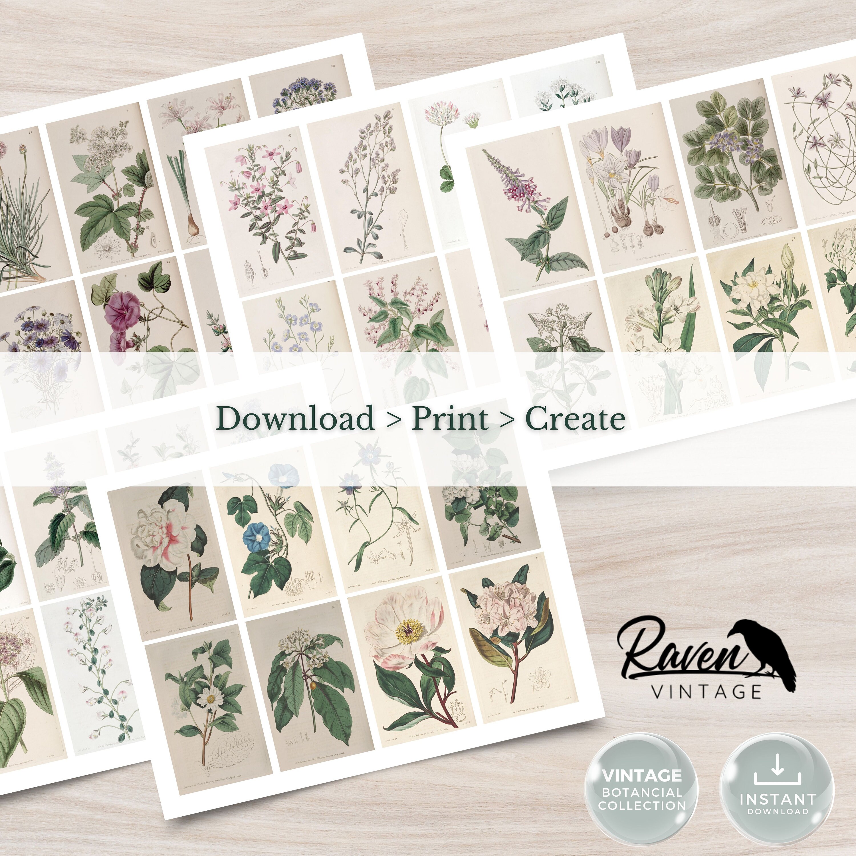 Vintage Flora Journal Cards, Botanical Ephemera (digital Download) - Etsy