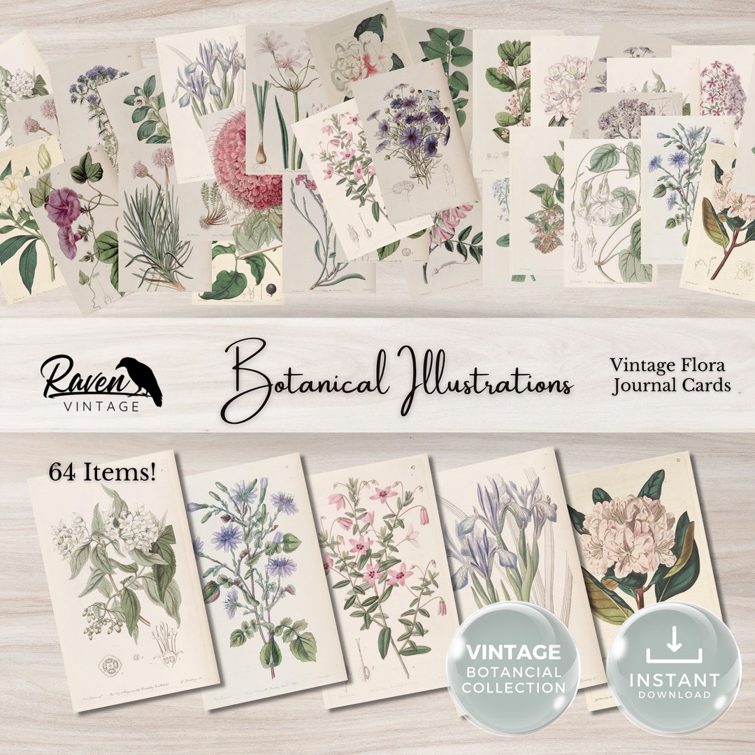 Vintage Flora Journal Cards, Botanical Ephemera (digital Download) - Etsy