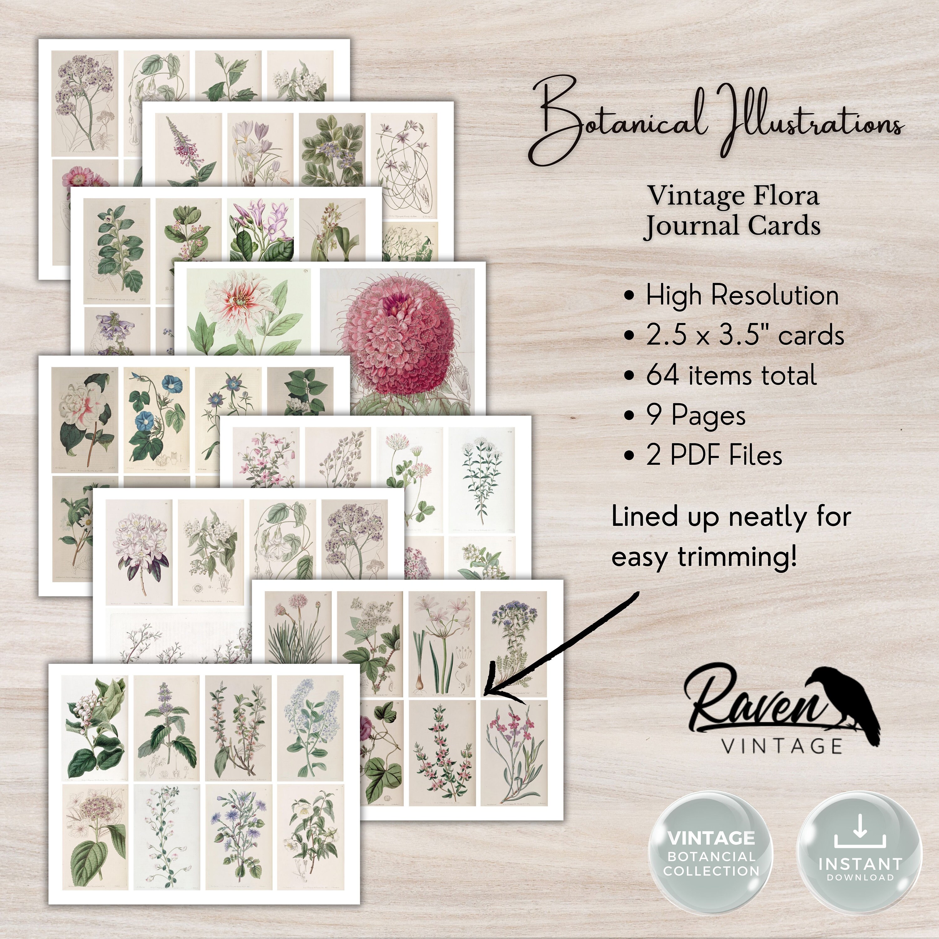 Vintage Flora Journal Cards, Botanical Ephemera (digital Download) - Etsy