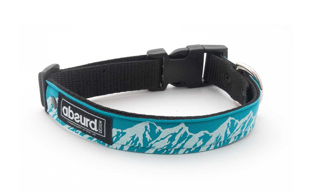Cool Waterproof Dog Collar, Unique Modern Collars, Neoprene and Webbing ...