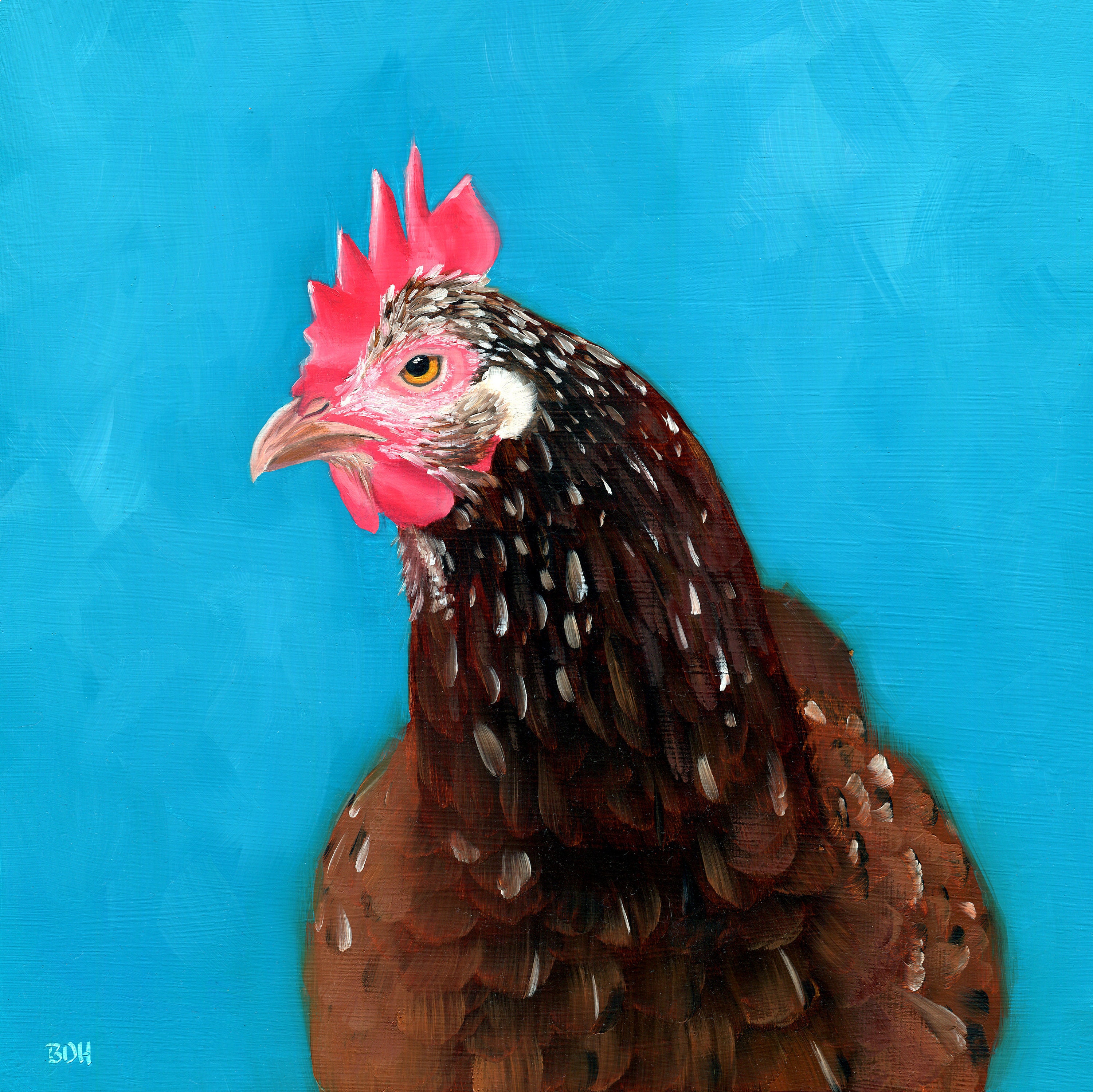 Chicken Print, Chicken Art, Chicken Wall Art, Farm Animal Print ...