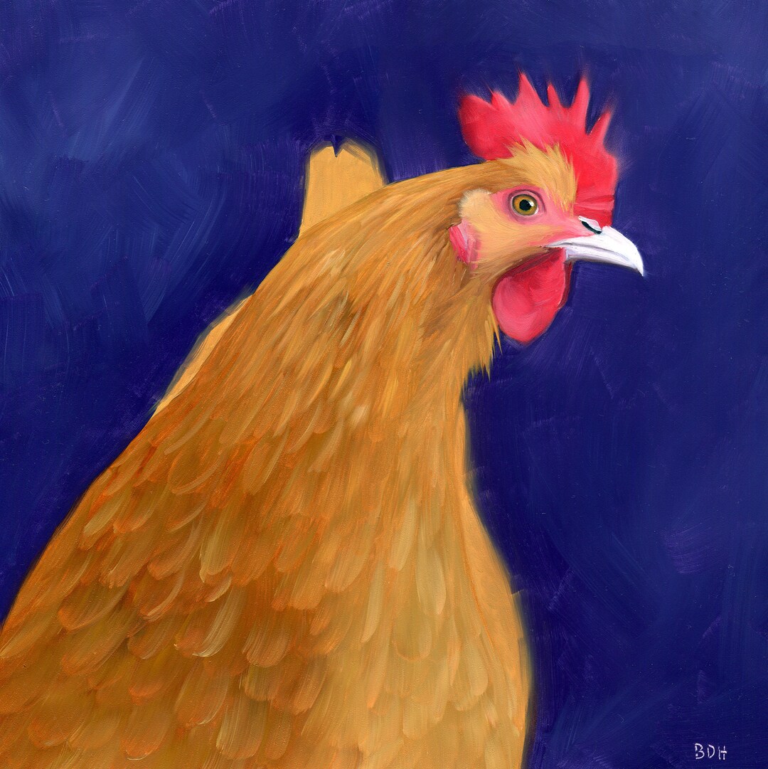 Chicken Print, Chicken Art, Chicken Wall Art, Farm Animal Print ...