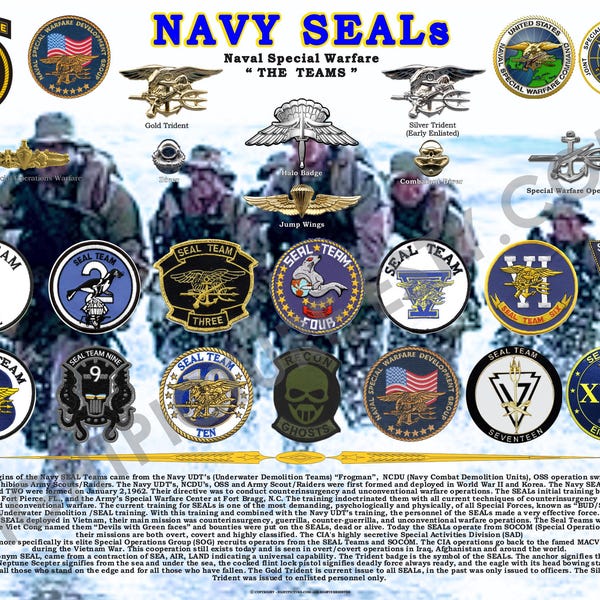 Navy Seal Team Patch - Etsy
