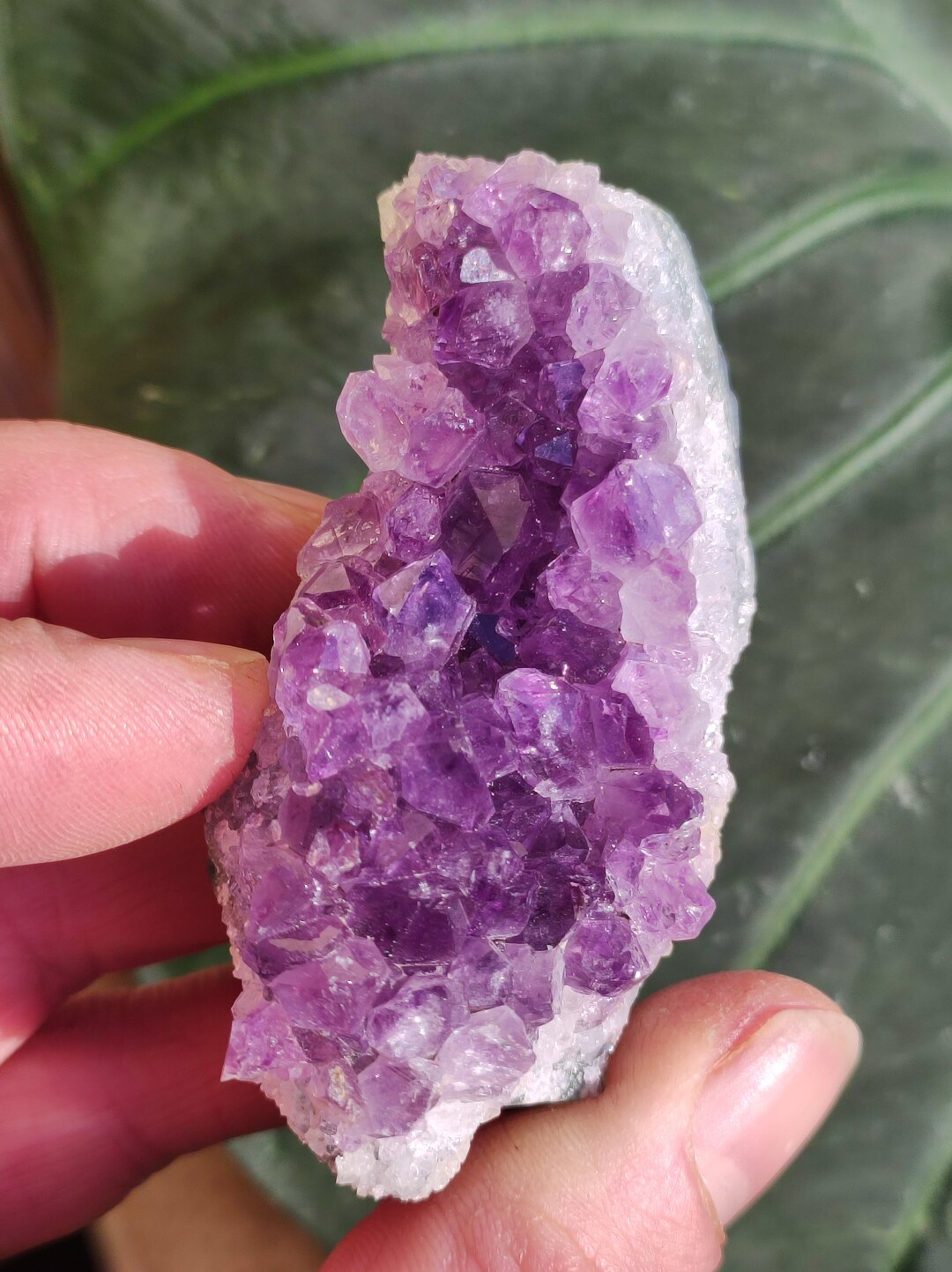 Amethyst Level ~ Magical Gemstone Decoration Crystal Meditation ~HIPPIE ...