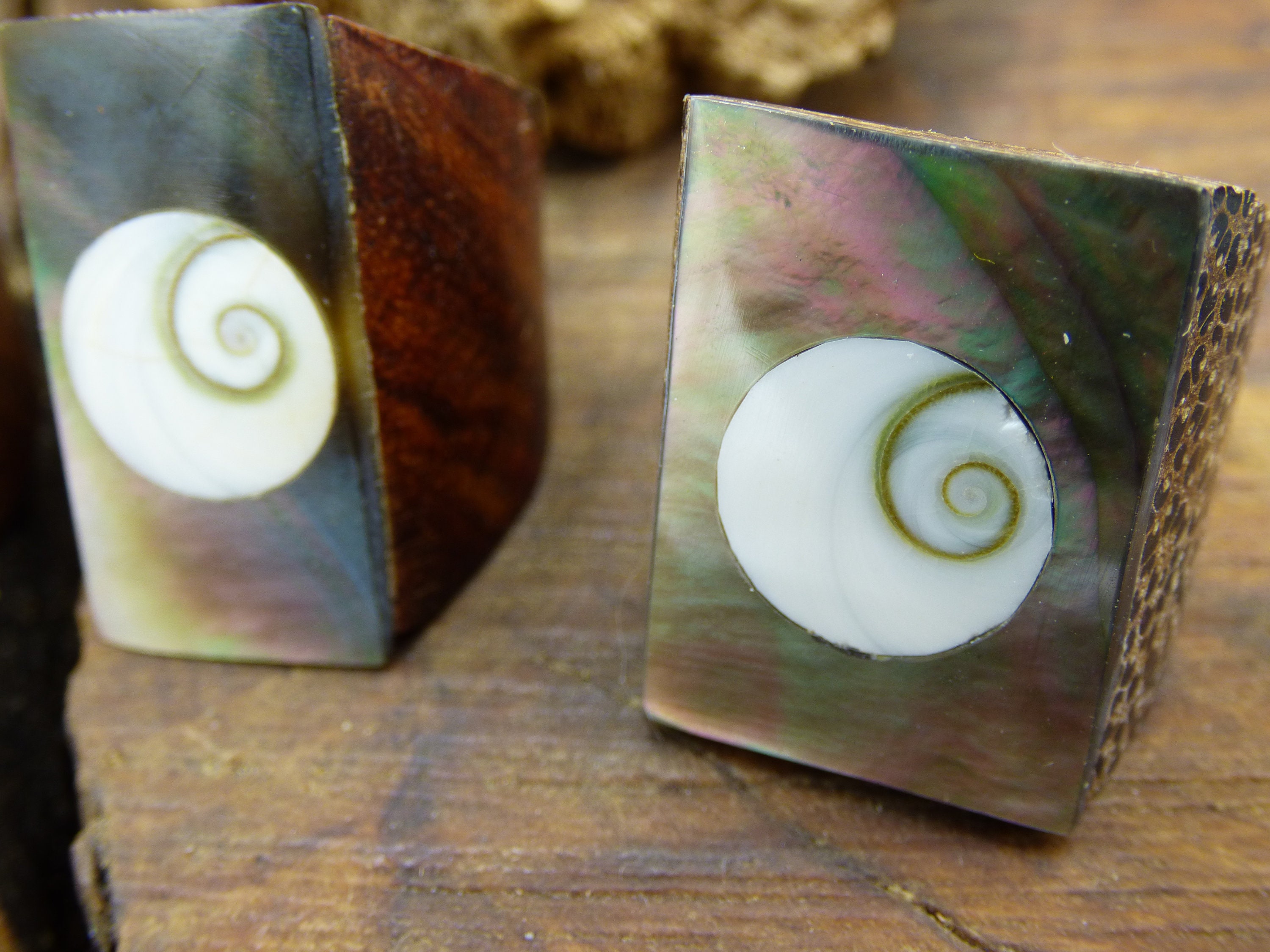 Wooden Paua Snail & Operculum Shell Ring/dread Bead - Etsy