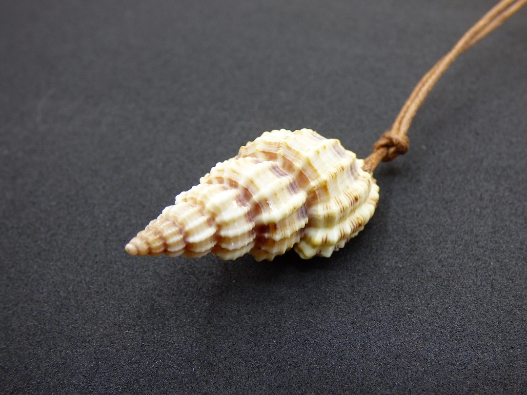 Cute Spiral Pacific Shell Necklace sea beach summer HIPPIE GOA boho ...