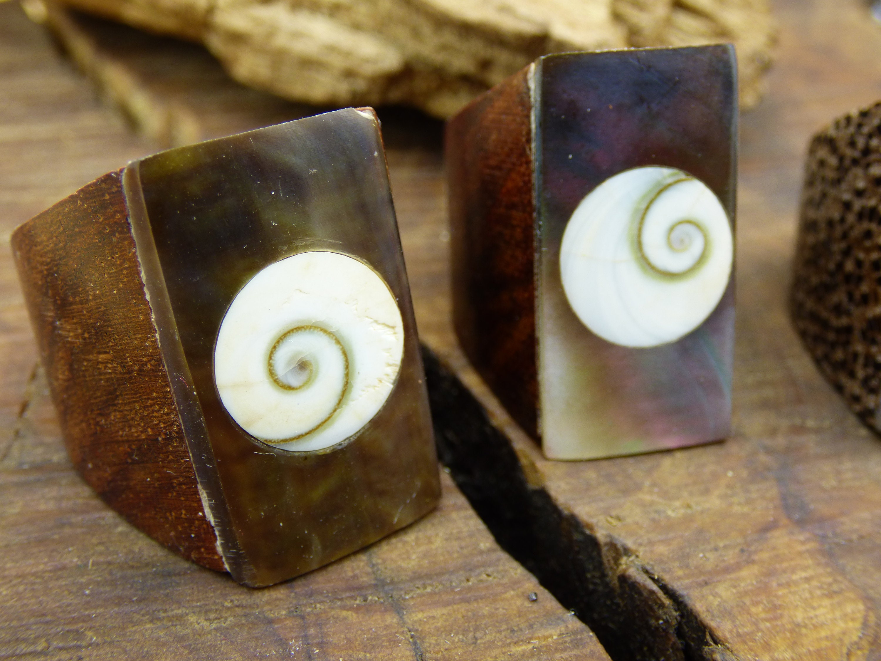 Wooden Paua Snail & Operculum Shell Ring/dread Bead - Etsy